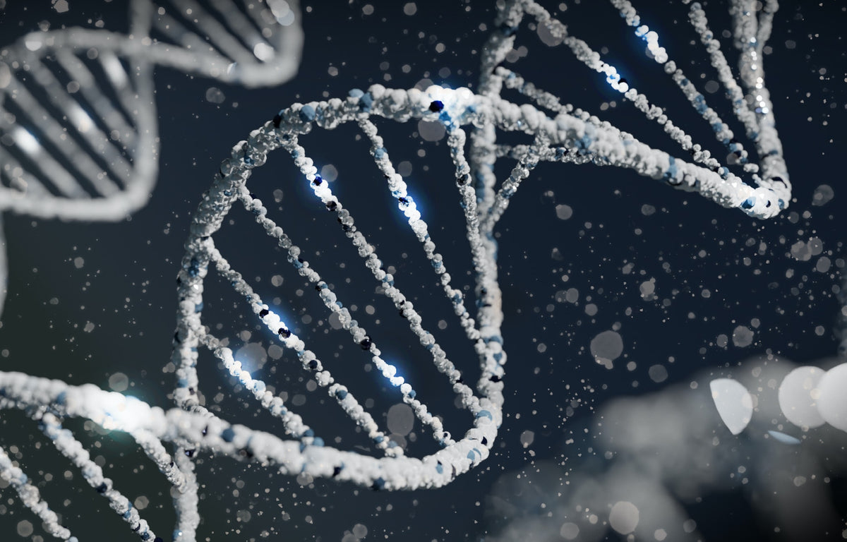 The Biohacker’s Guide to Better Sleep - SomniFix